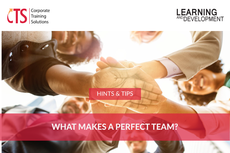 What Makes A Perfect Team? - Giải Pháp Đào Tạo Doanh Nghiệp - CTS Việt Nam